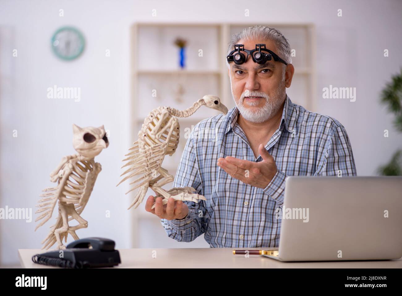 Old paleontologist examining ancient animals at lab Stock Photo - Alamy