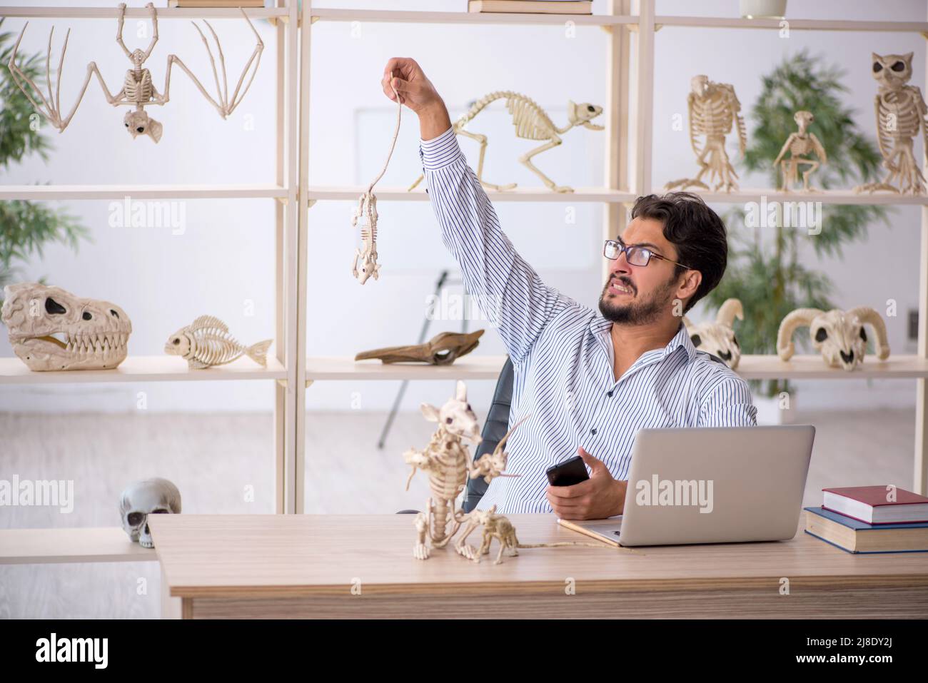 Young paleontologist examining ancient animals at lab Stock Photo - Alamy