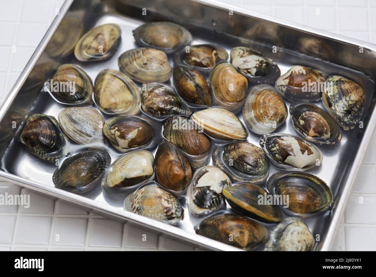 Japanese asari clams from Kajishima( luxury ingredients Stock Photo - Alamy