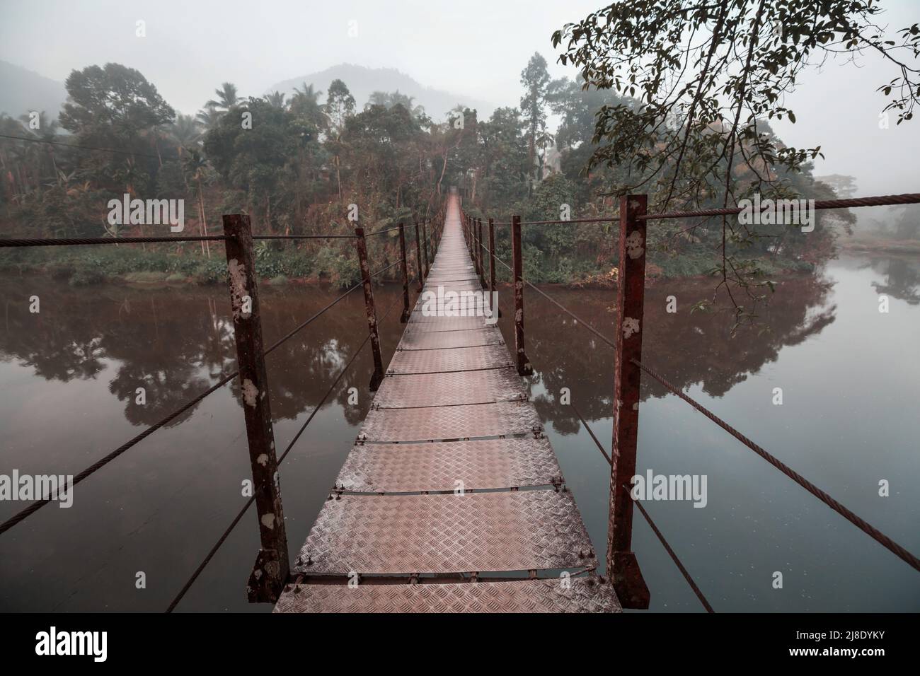 Suspension bridge in jungle, Sri Lanka Stock Photo - Alamy