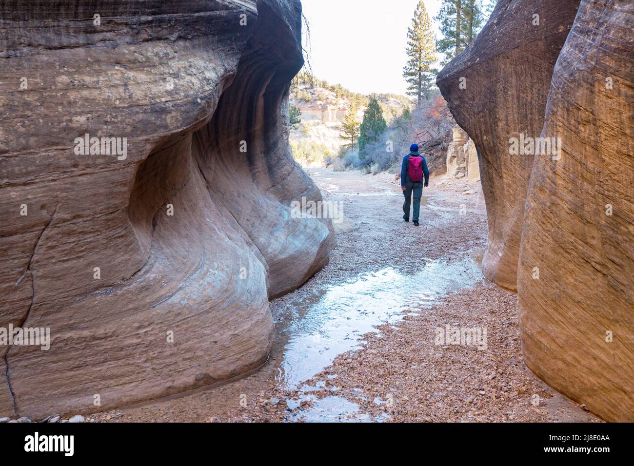 Slot canyon in Grand Staircase Escalante National park, Utah, USA ...