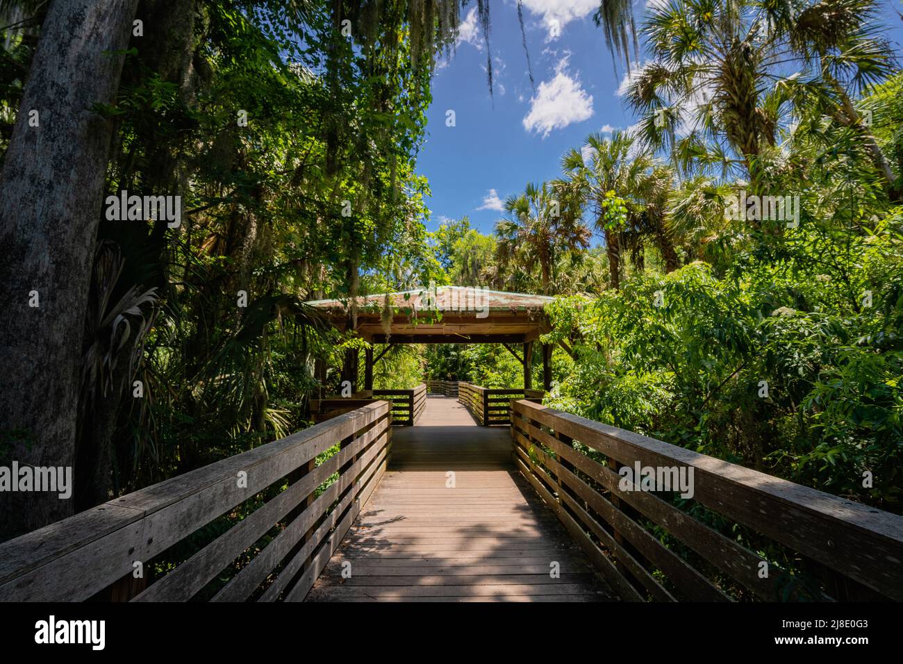 Nature preserve with a boardwalk on Lake Dora in Mount Dora, Florida ...
