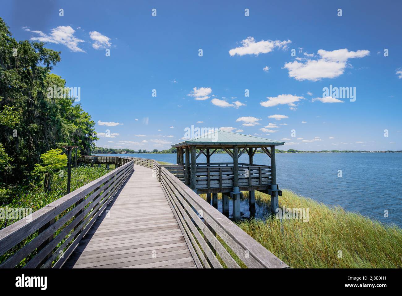 Nature preserve with a boardwalk on Lake Dora in Mount Dora, Florida ...