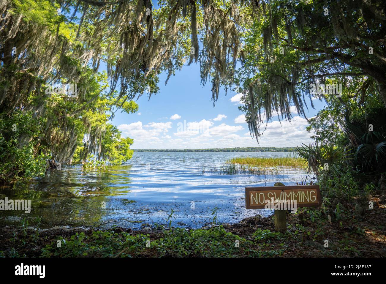 Gator lake florida hi-res stock photography and images - Alamy
