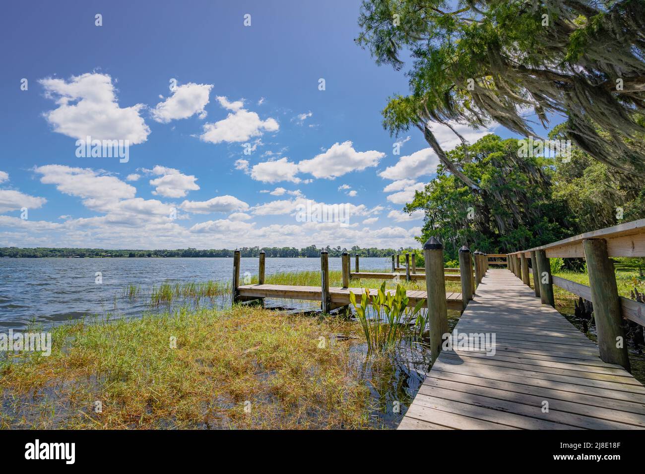 Trimble Park a lakeside park with trails and docks in Mount Dora ...
