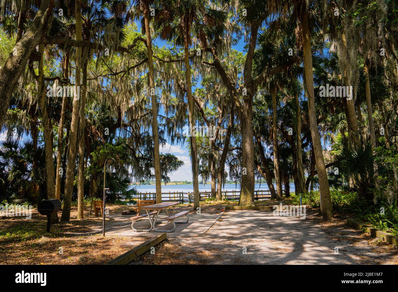 Trimble Park a lakeside park with trails and boardwalk in Mount Dora ...