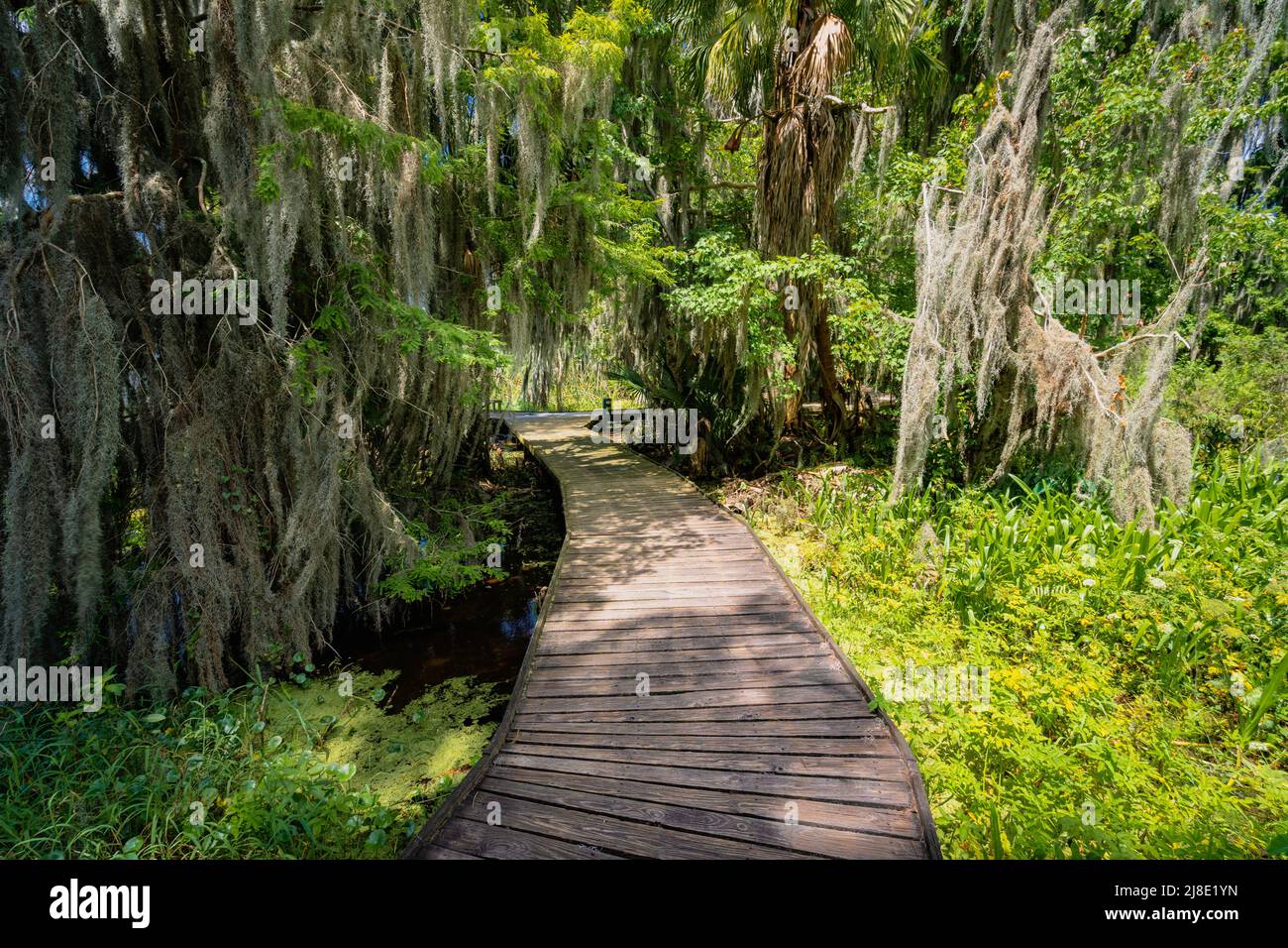 Trimble Park a lakeside park with trails and boardwalk in Mount Dora ...