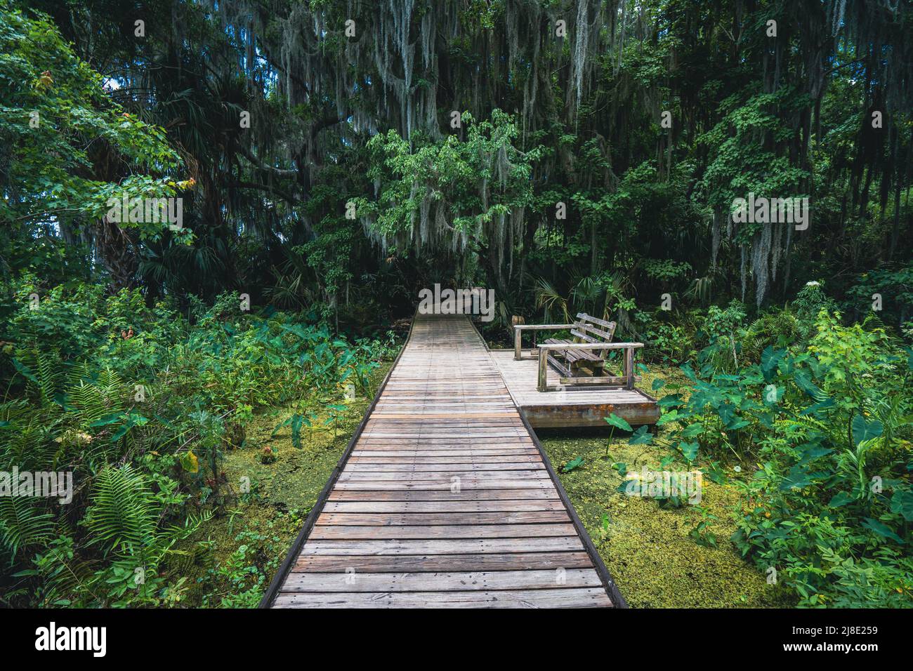 Trimble Park a lakeside park with trails and boardwalk in Mount Dora ...