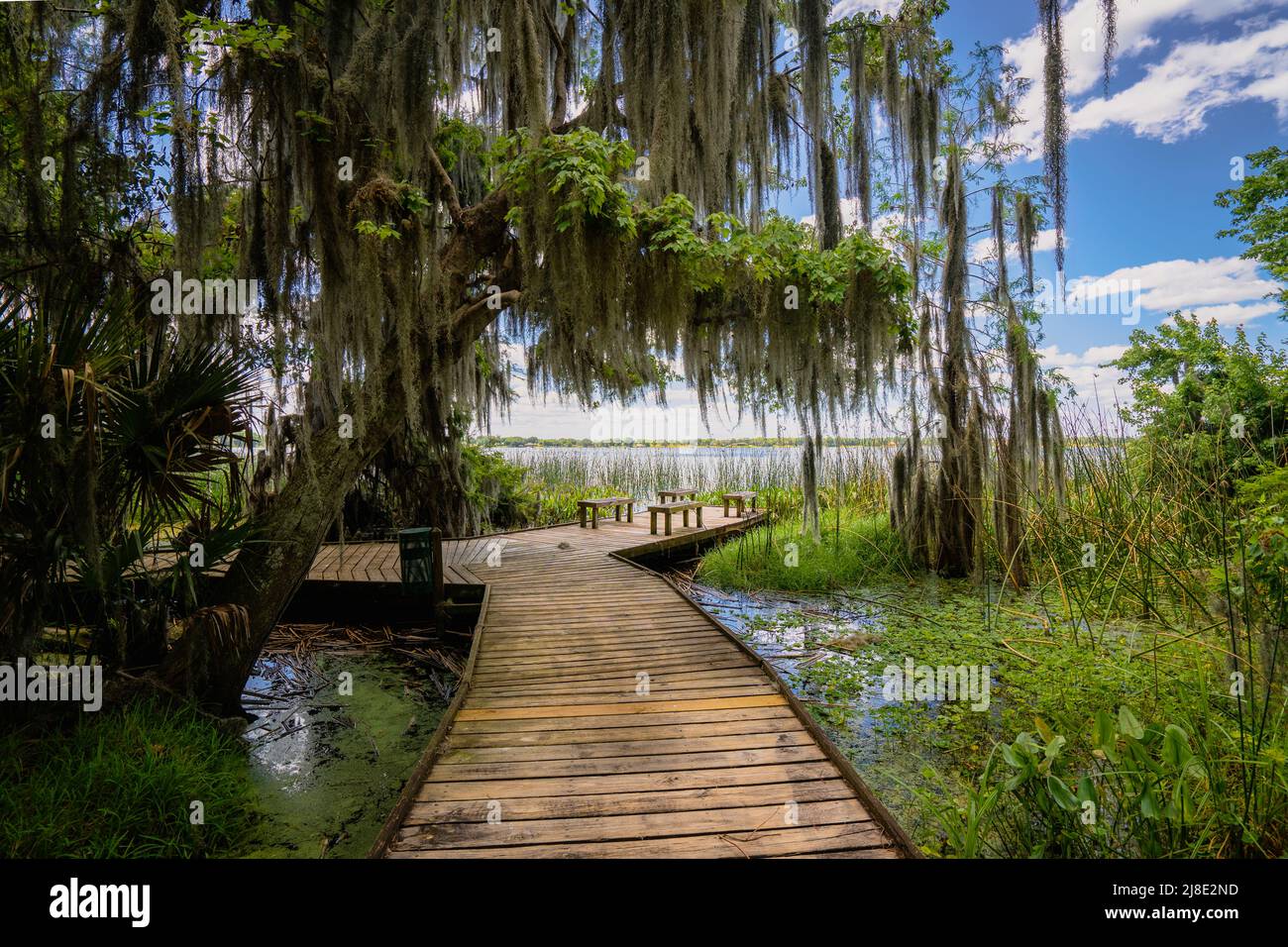Trimble Park a lakeside park with trails and boardwalk in Mount Dora ...