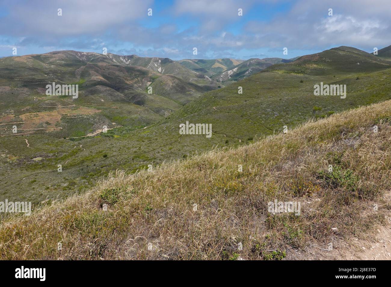 Hiking trails in Montaña de Oro State Park San Luis Obispo County ...