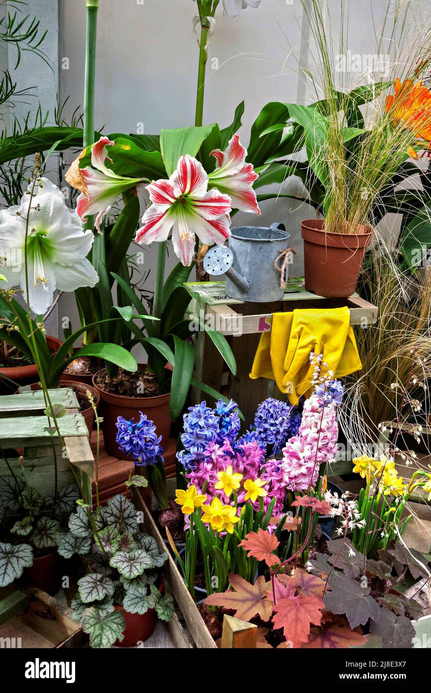 Floral composition flowers greenery hi-res stock photography and images ...