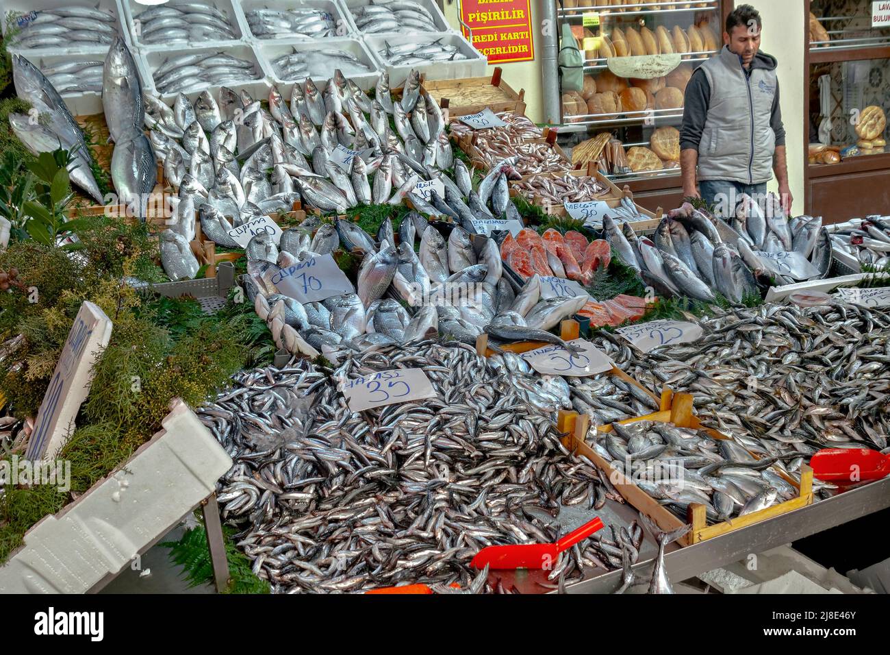 Edirneturkey hi-res stock photography and images - Alamy