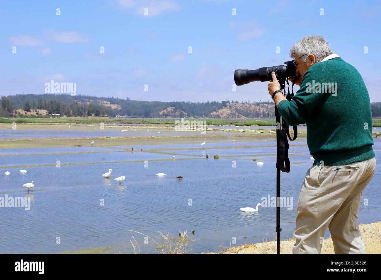 Birdwatching adventure hi-res stock photography and images - Alamy