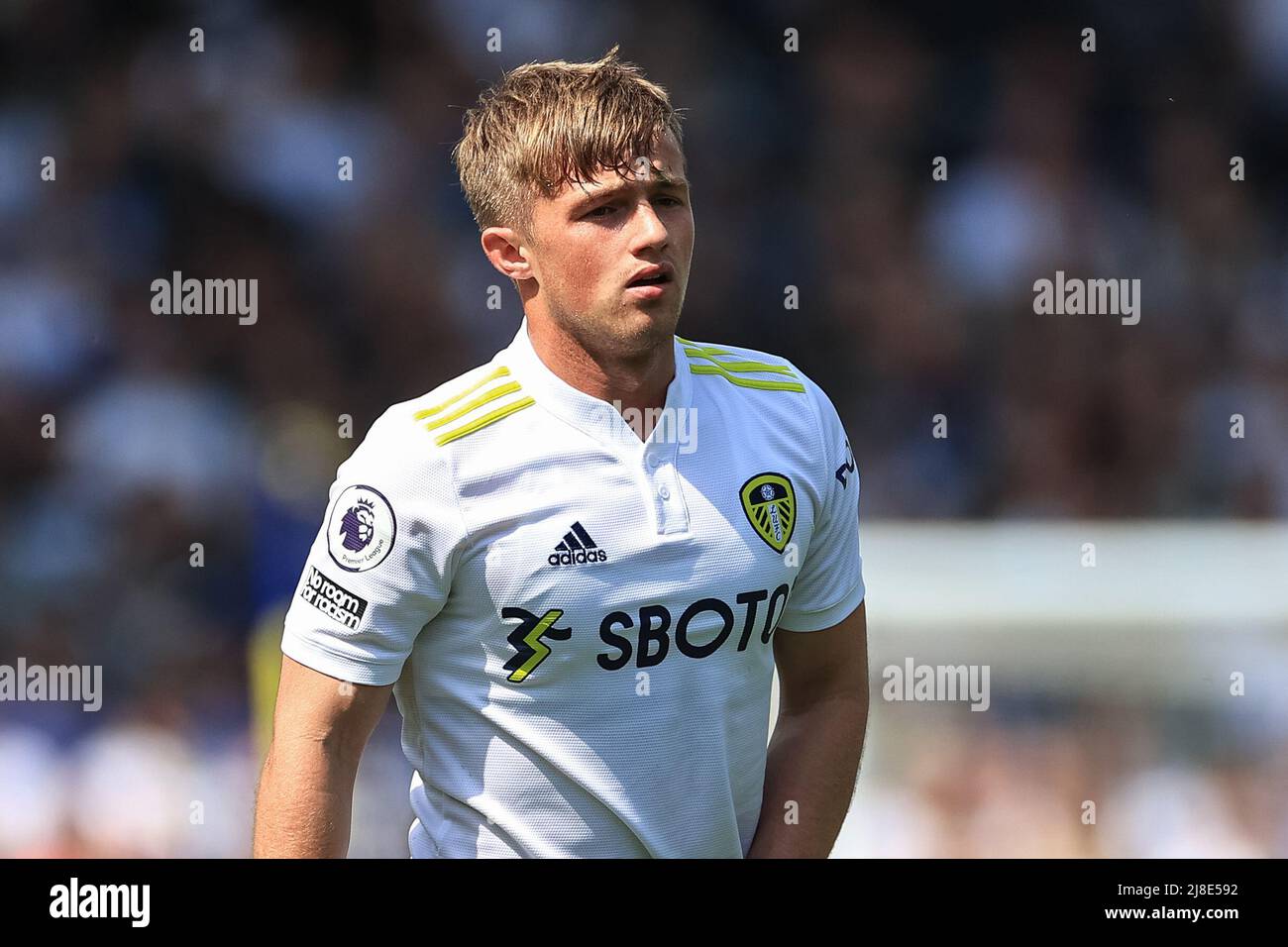 Joe gelhardt hi-res stock photography and images - Alamy