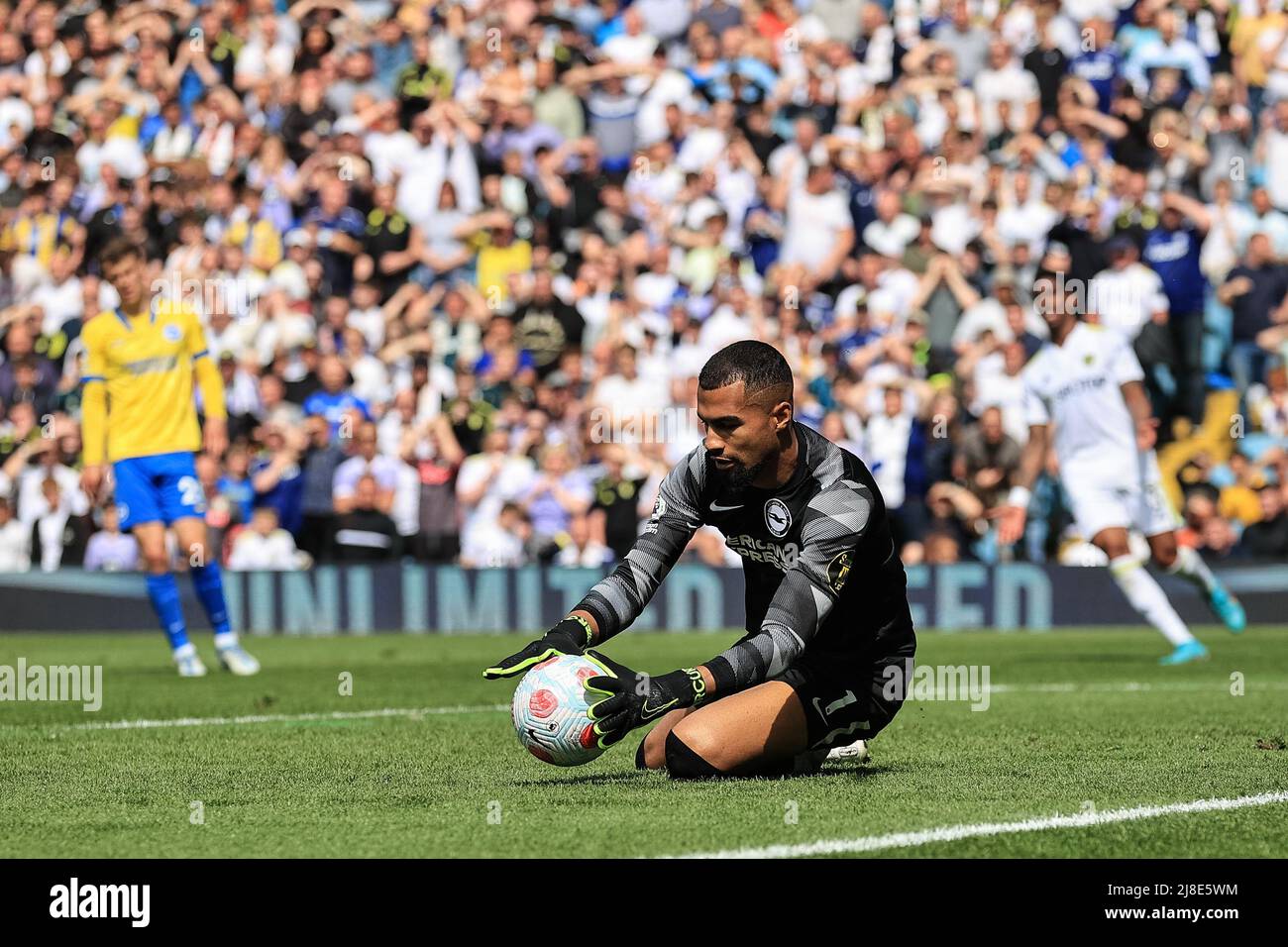 Robert sanchez save hi-res stock photography and images - Alamy