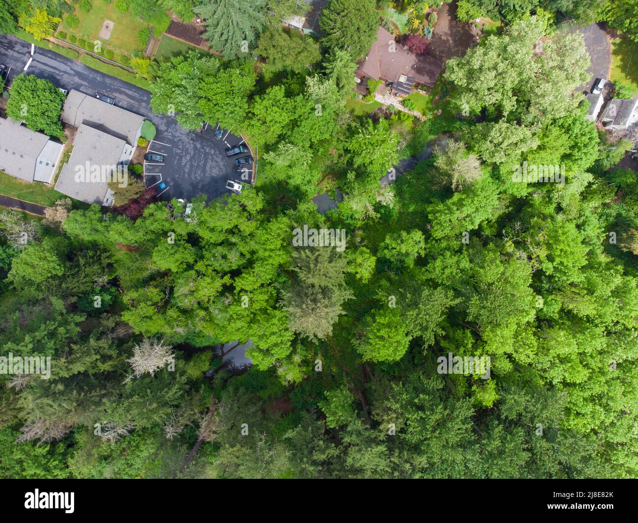 Aerial view of a small town surrounded by greenery and developed ...