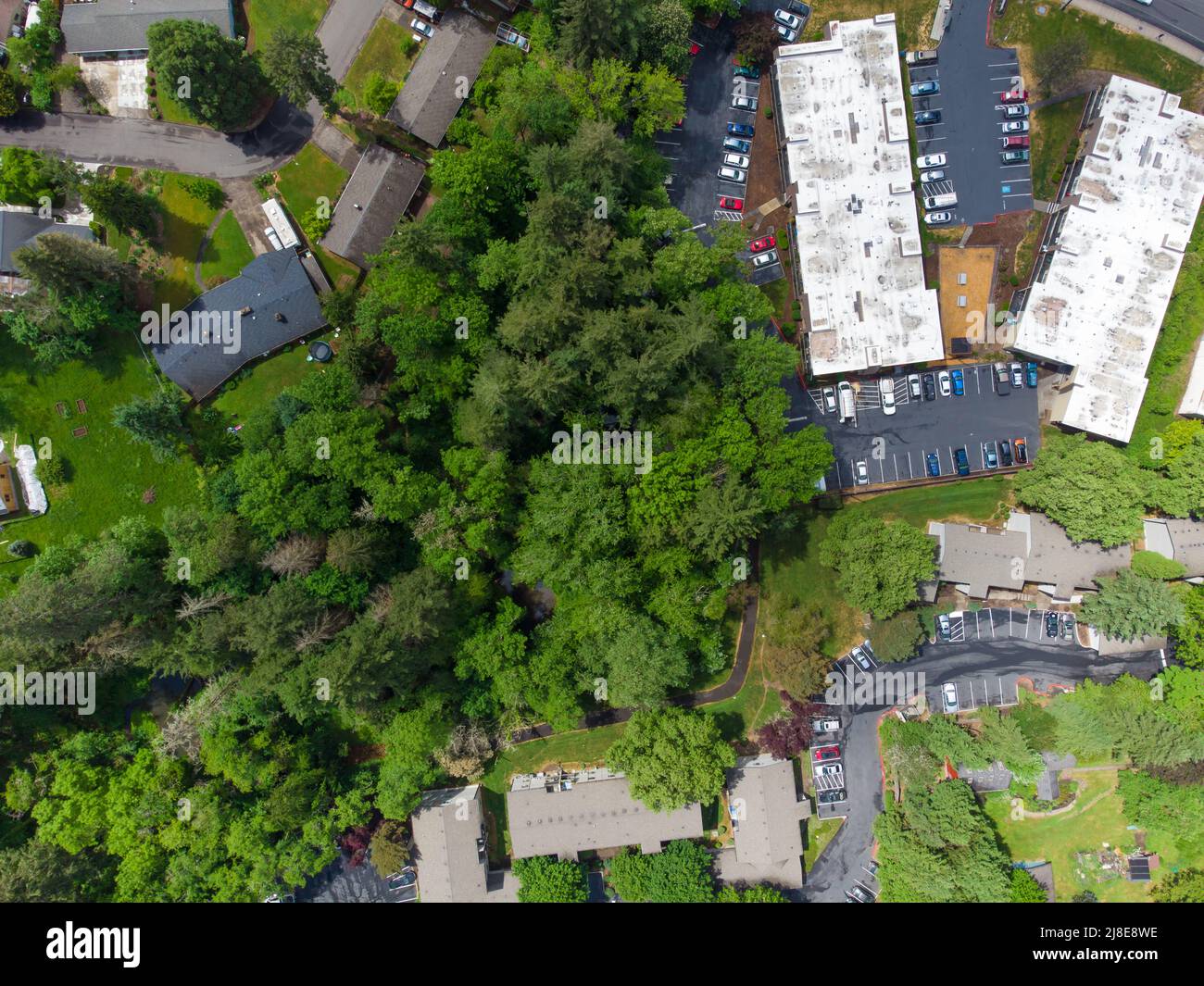 Shooting from a drone. A beautiful green town, a suburb with small ...