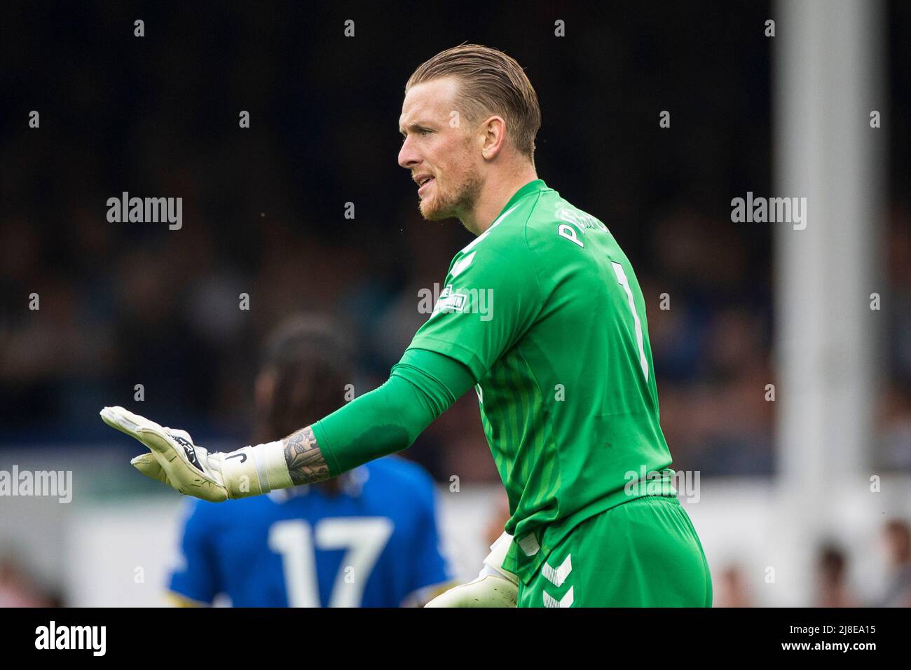 Jordan Pickford #1 of Everton tries to calm down his defence Stock ...