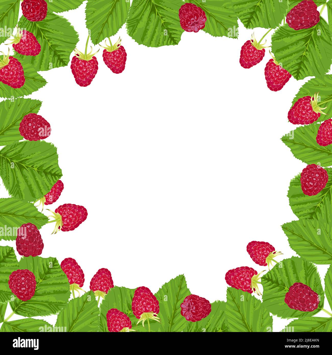 Square frame of raspberries and green leaves on a white background ...