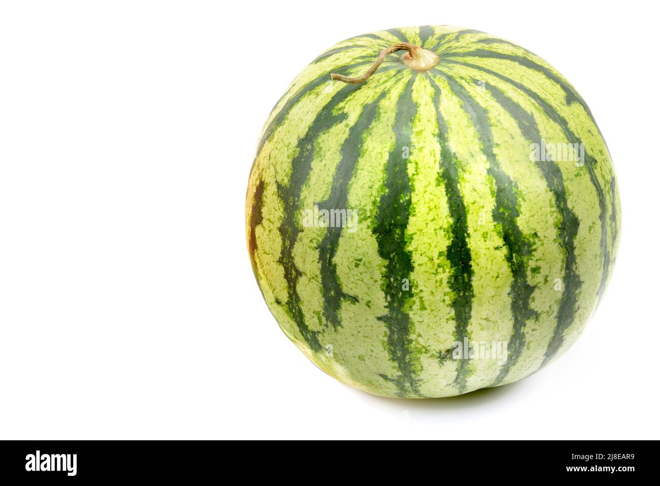 Ripe round watermelon isolated on white background. Free space for text ...