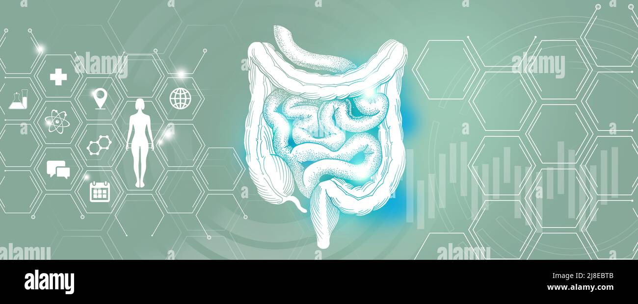 Human internal organ Intestine disease research and recovery. Turquoise ...