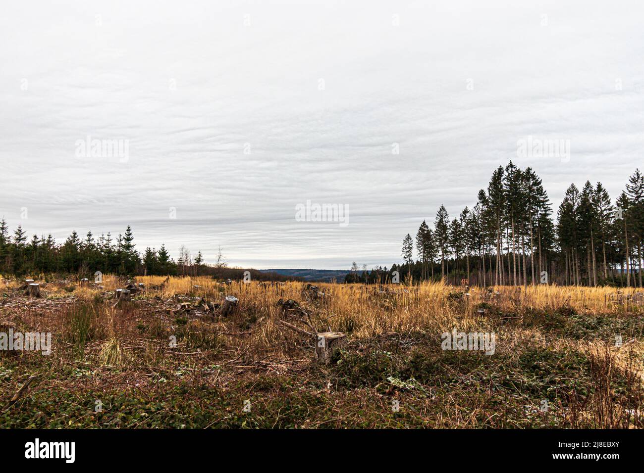 German eifel hi-res stock photography and images - Alamy