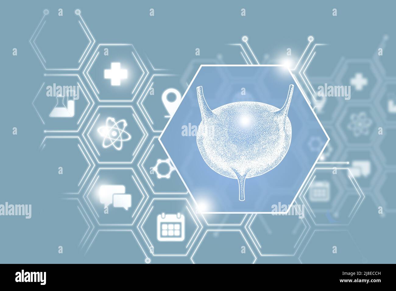 Human internal organ Bladder emergency help and protection from ...