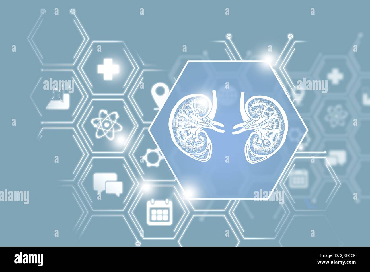 Human internal organ Kidneys emergency help and protection from ...