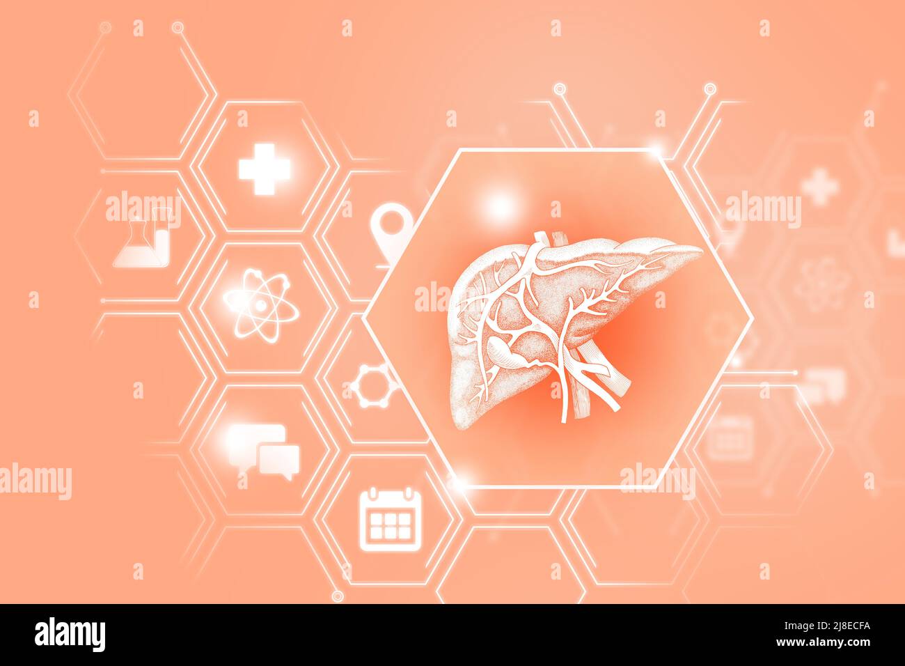 Human internal organ Liver emergency help and protection from diseases ...