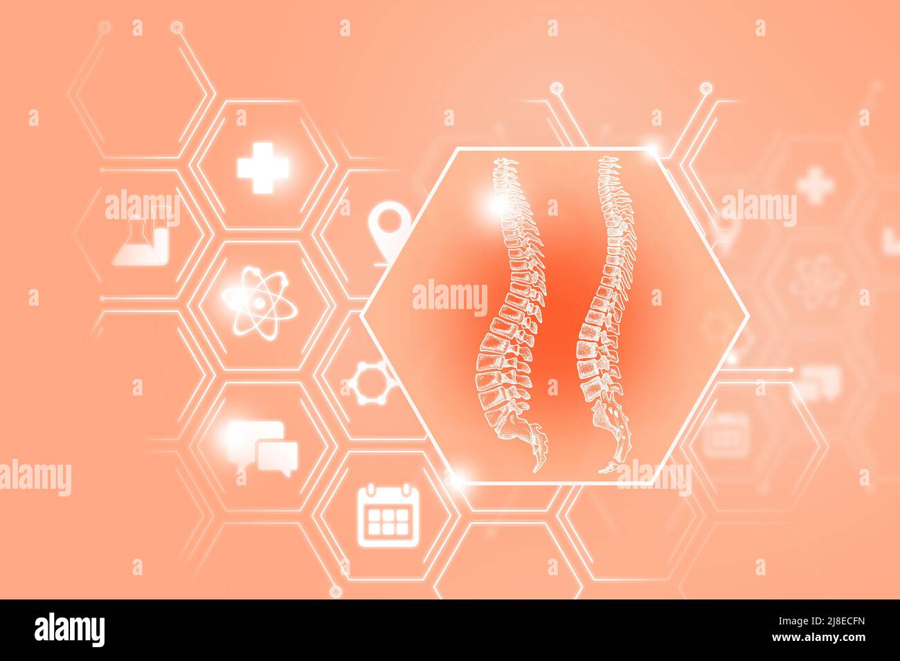 Human internal organ Spine (Vertebra) emergency help and protection ...