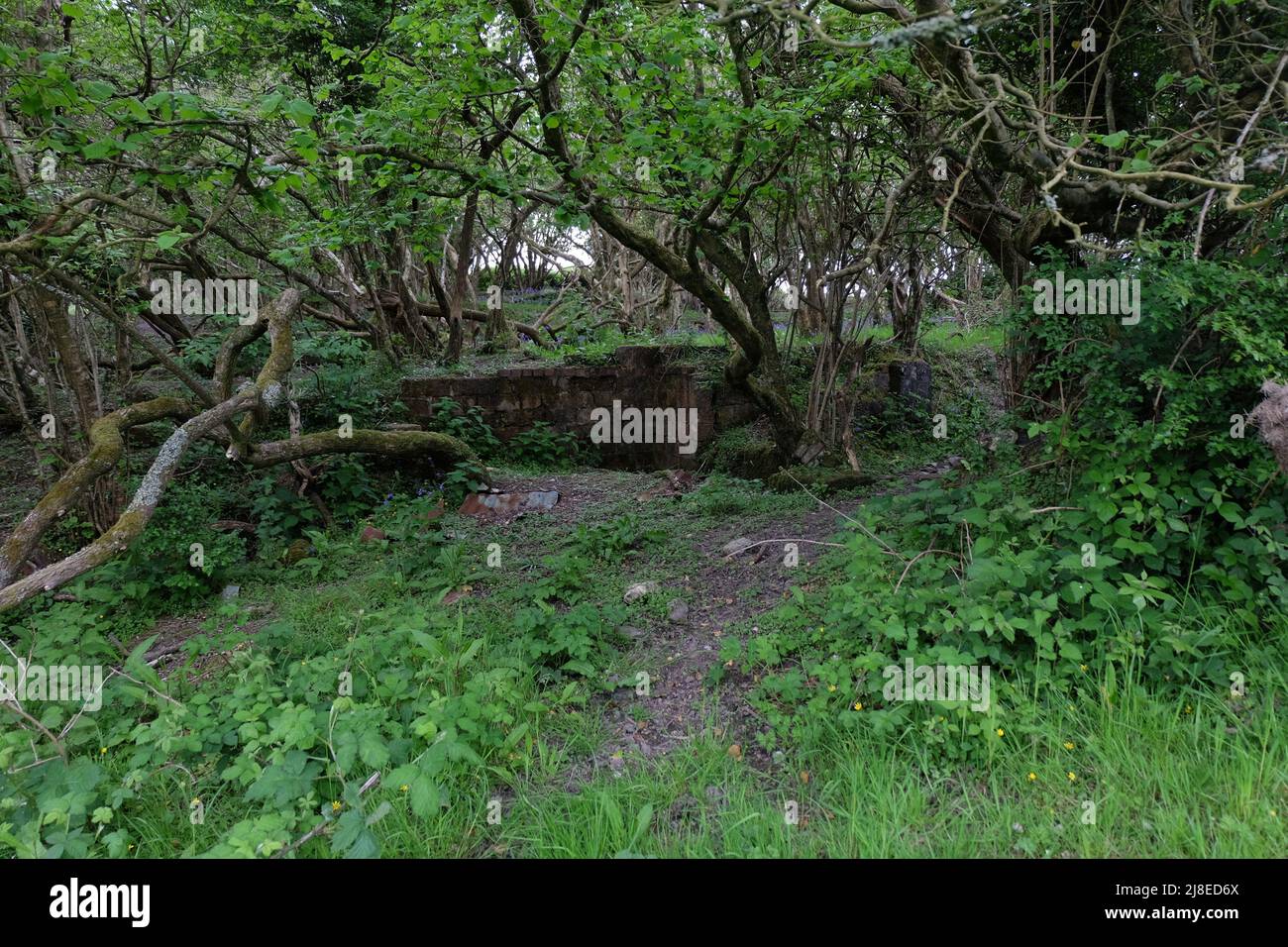 Parka Mine (Park of Mines), 1873 Trevarran United Mine, Indian Queens ...