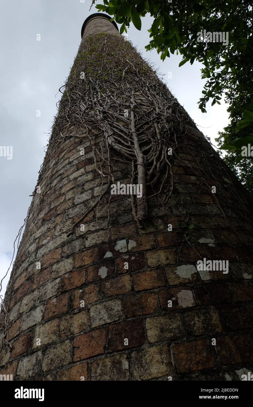 Parka Mine (Park of Mines), 1873 Trevarran United Mine, Indian Queens ...