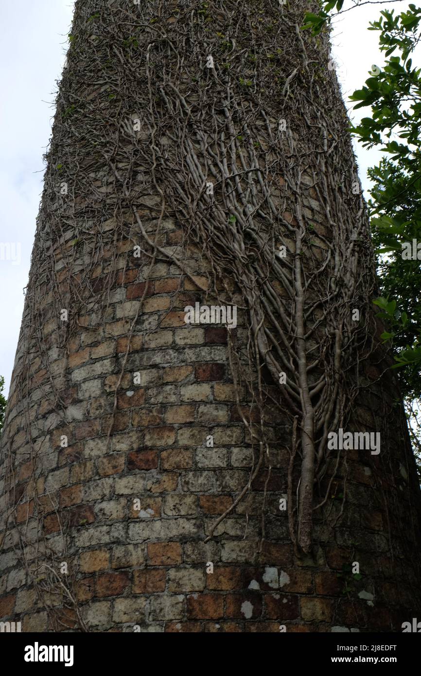 Indian queens cornwall hi-res stock photography and images - Alamy