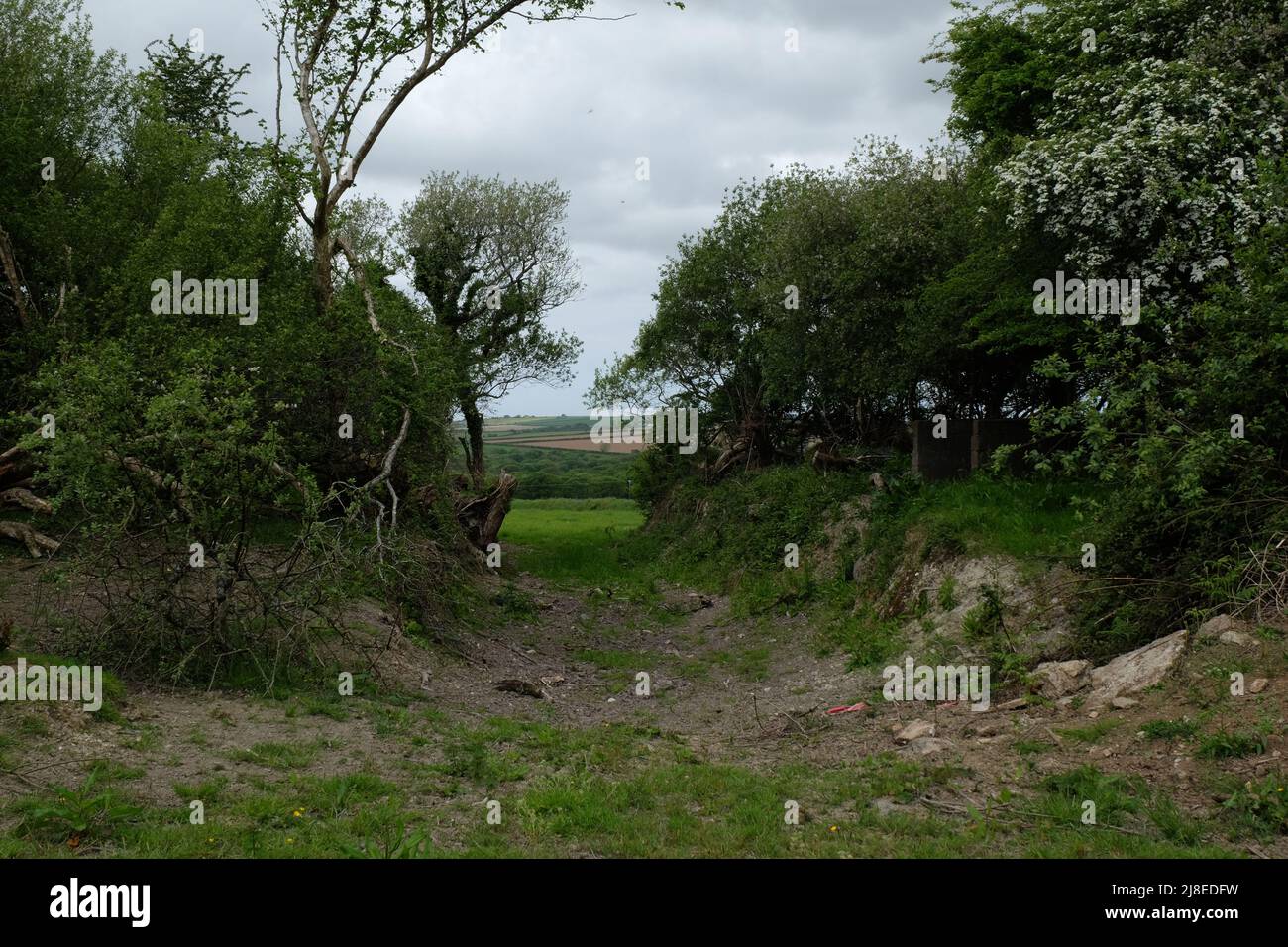 Parka Mine (Park of Mines), 1873 Trevarran United Mine, Indian Queens ...