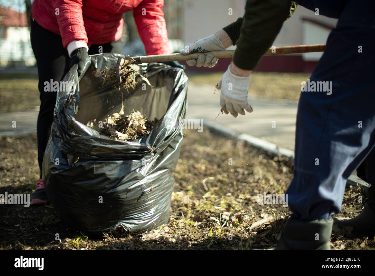 Putting Things In Order