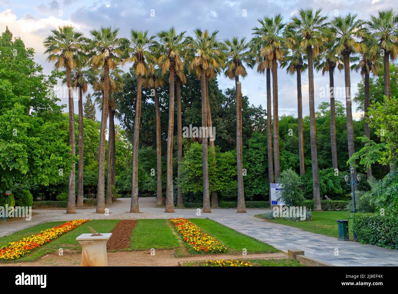 Athens spring trees greece hi-res stock photography and images - Alamy