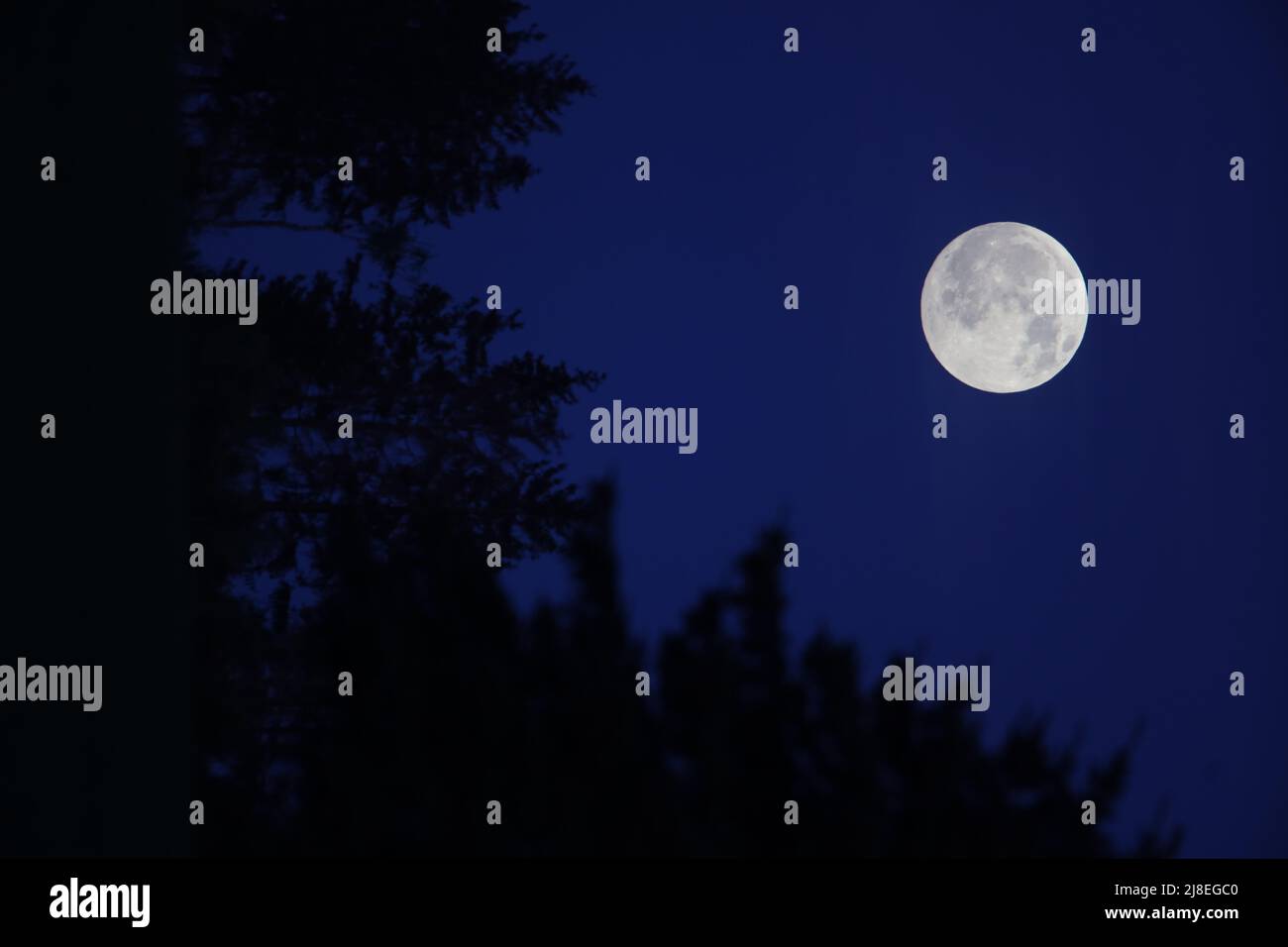 Stiege, Germany. 15th May, 2022. The moon rises over a forest in the ...