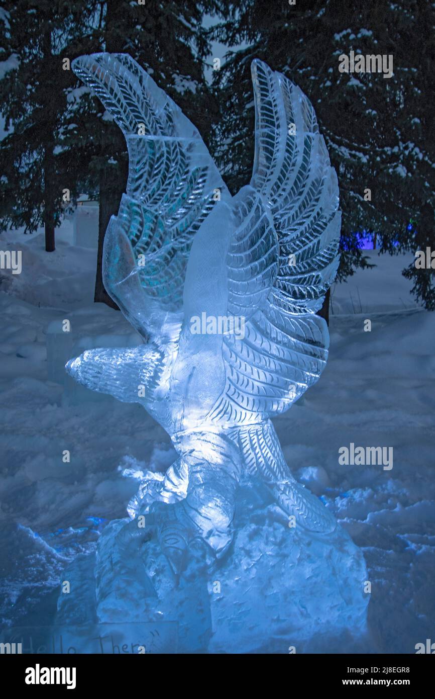 Eagle carving, one of many ice carvngs seen at World Ice Art ...