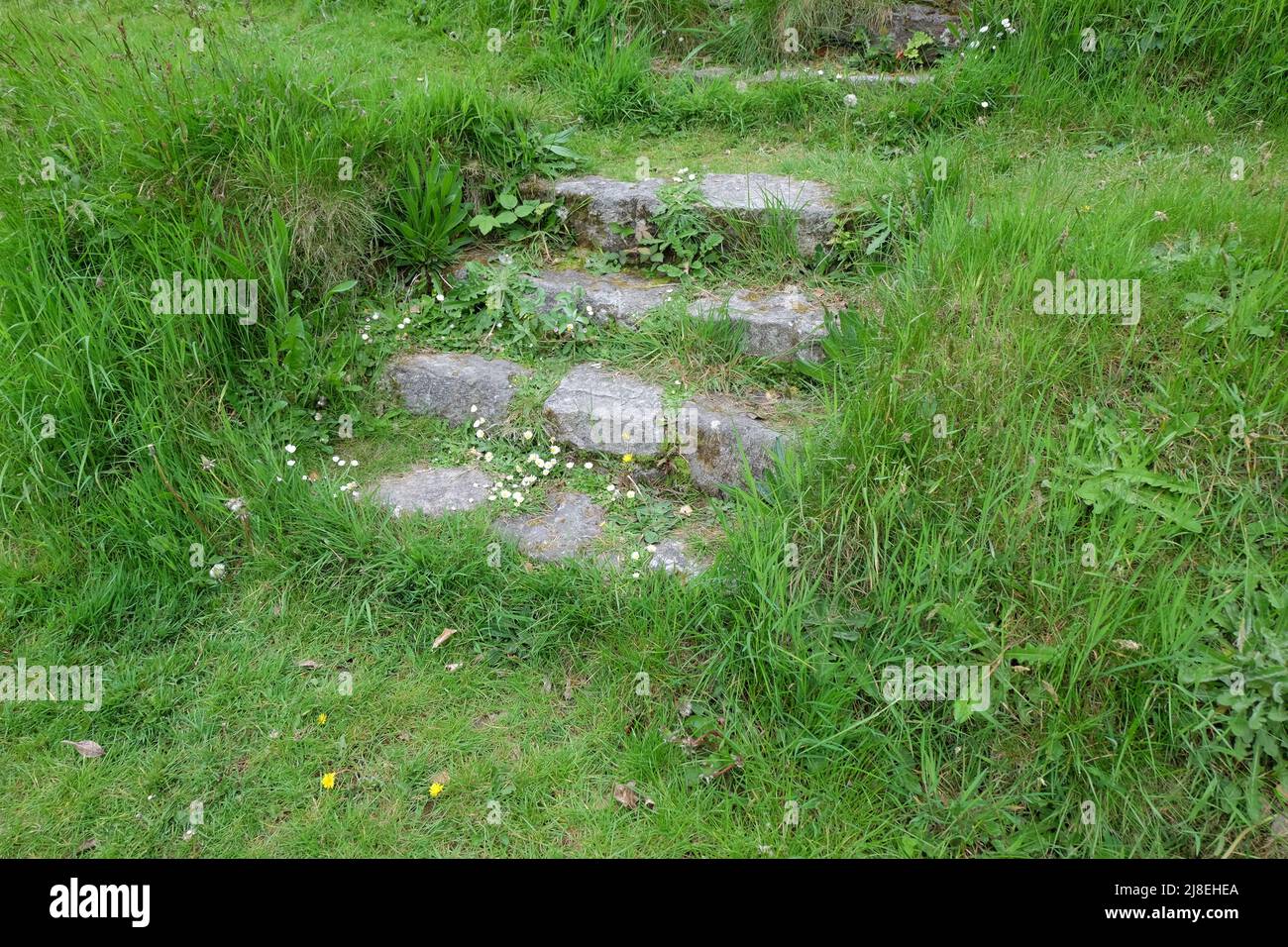 Indian Queens Methodist Preaching Pit, Cornwall, England, UK Stock ...