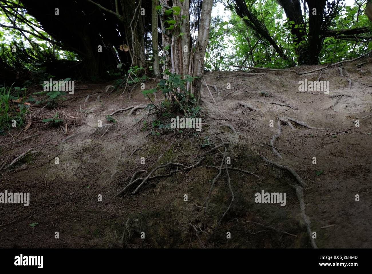 Indian Queens Methodist Preaching Pit, Cornwall, England, UK Stock ...