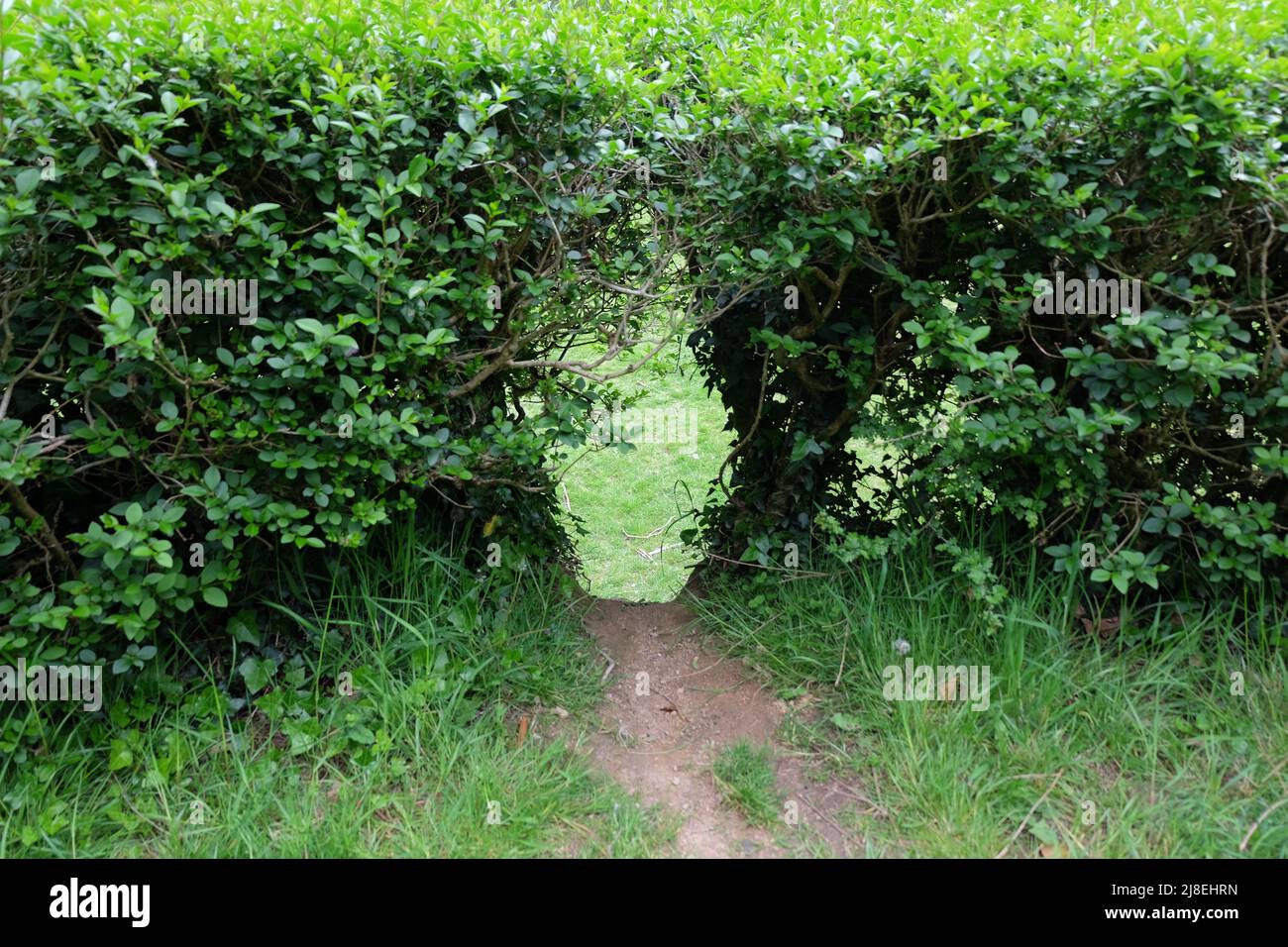 Indian Queens Methodist Preaching Pit, Cornwall, England, UK Stock ...