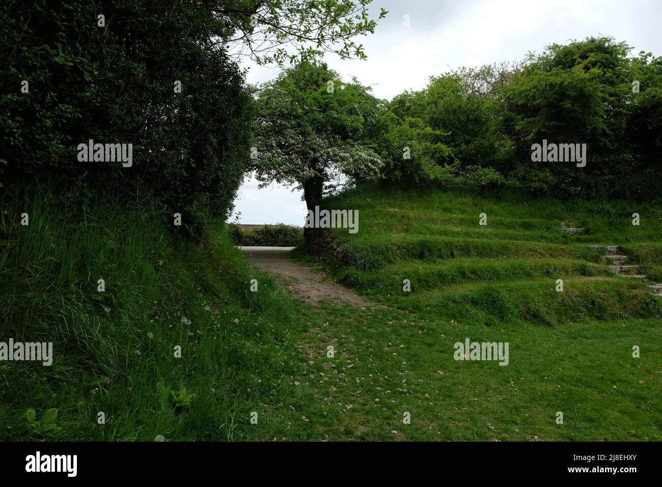 Indian queens cornwall hi-res stock photography and images - Alamy