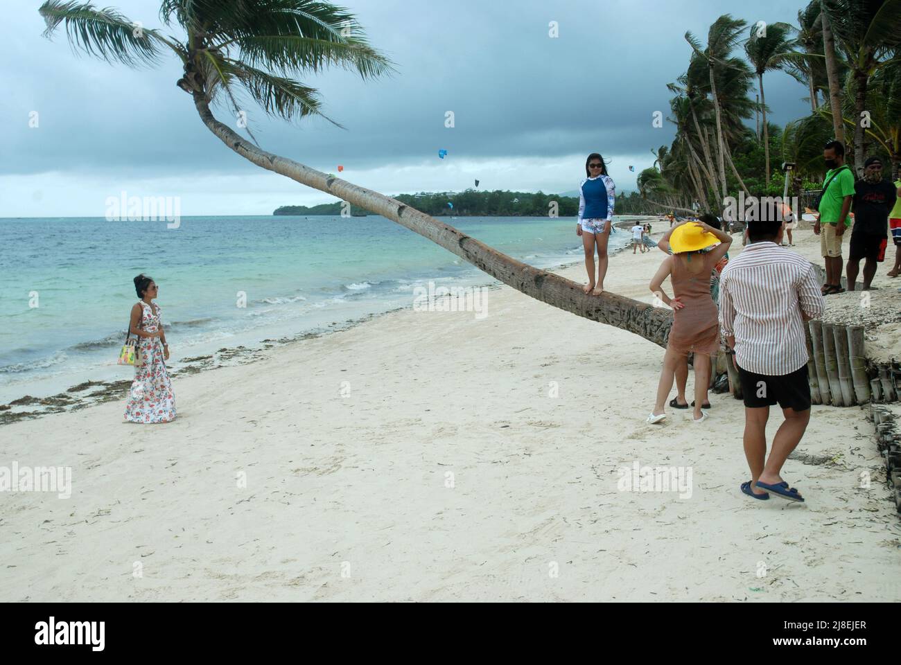 Tourists posing for photographs on palm tree, Bulabog Beach, Boracay ...