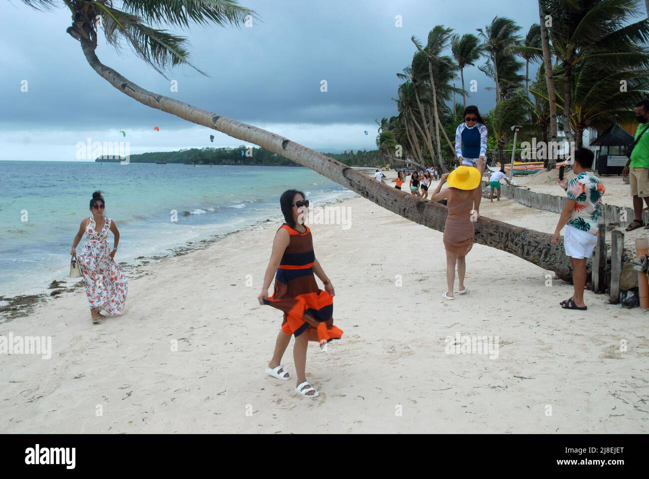Tourists posing for photographs on palm tree, Bulabog Beach, Boracay ...