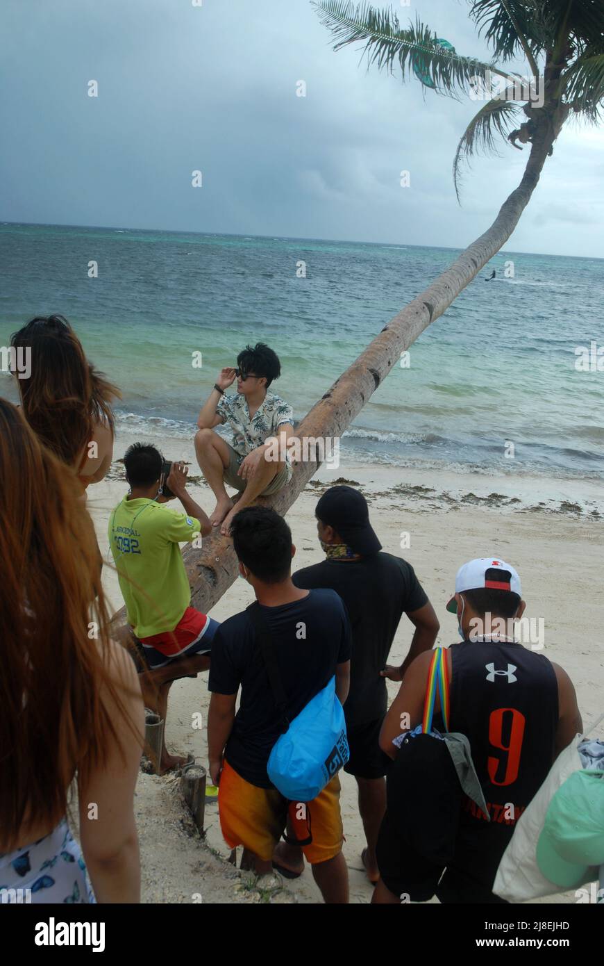 Tourists posing for photographs on palm tree, Bulabog Beach, Boracay ...
