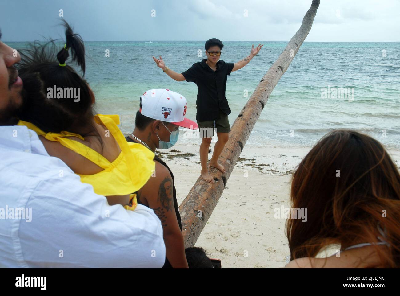 Tourists posing for photographs on palm tree, Bulabog Beach, Boracay ...