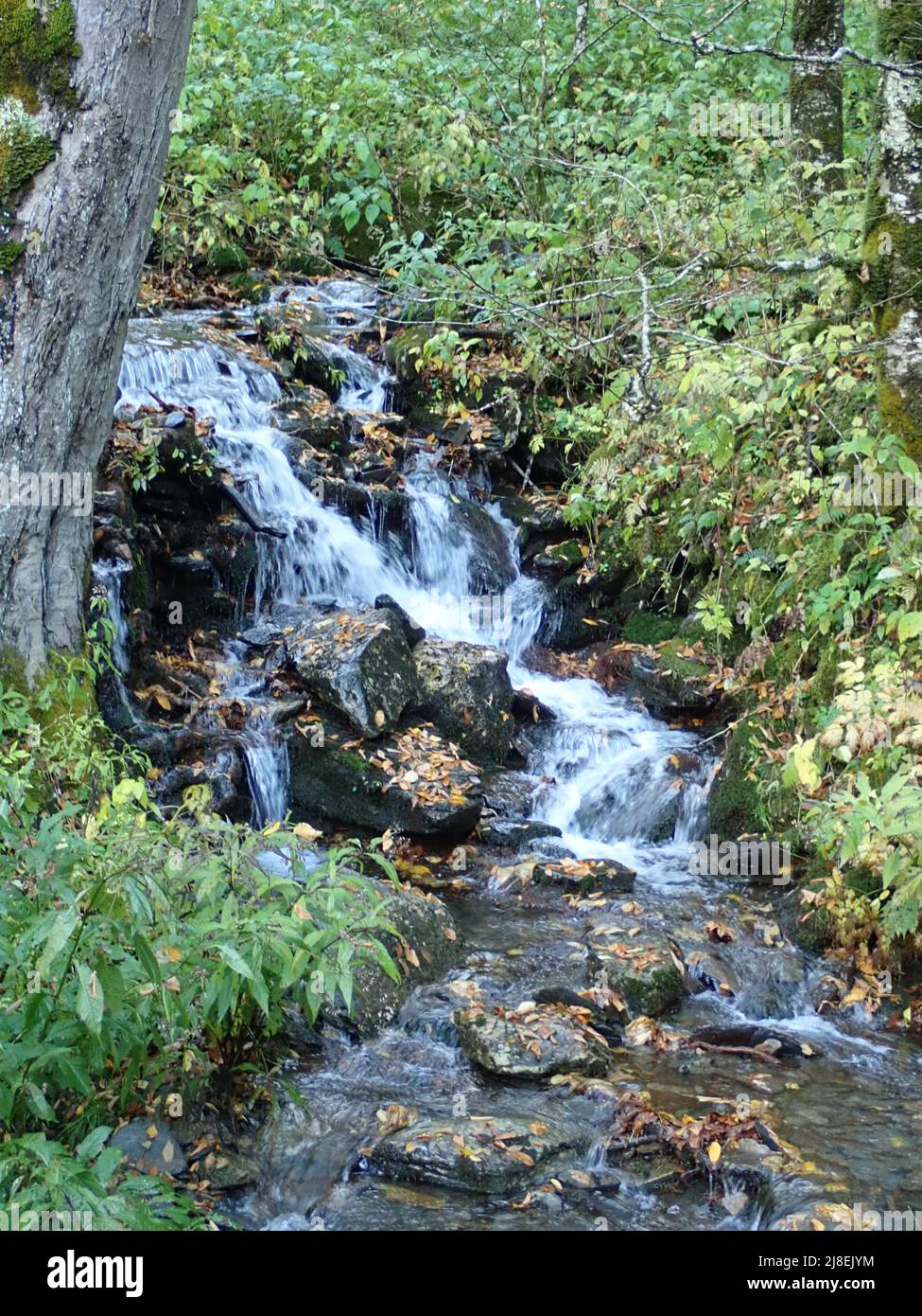 Cascades in the North Georgia USA Mountains Stock Photo - Alamy