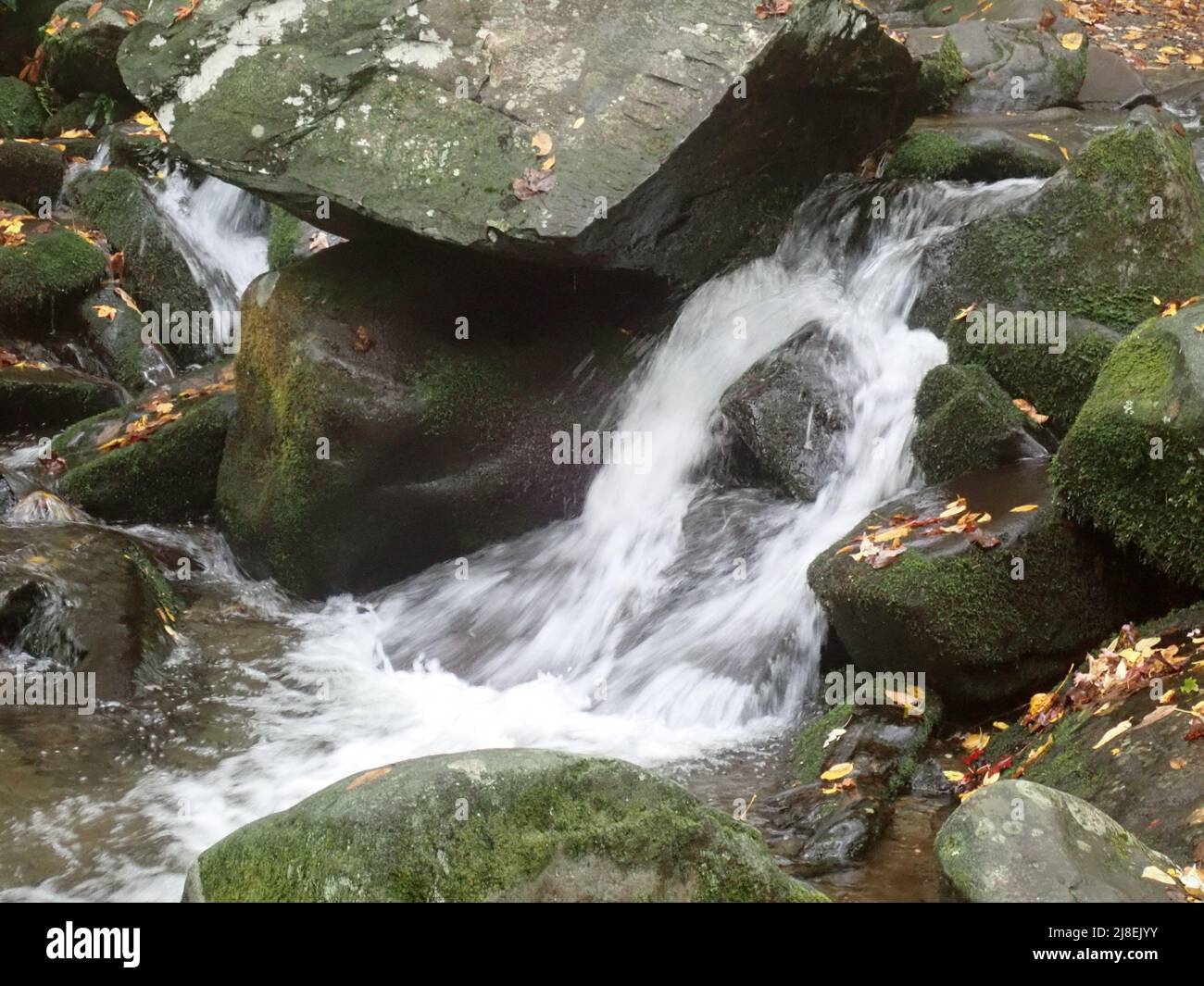 Cascades in north georgia hi-res stock photography and images - Alamy
