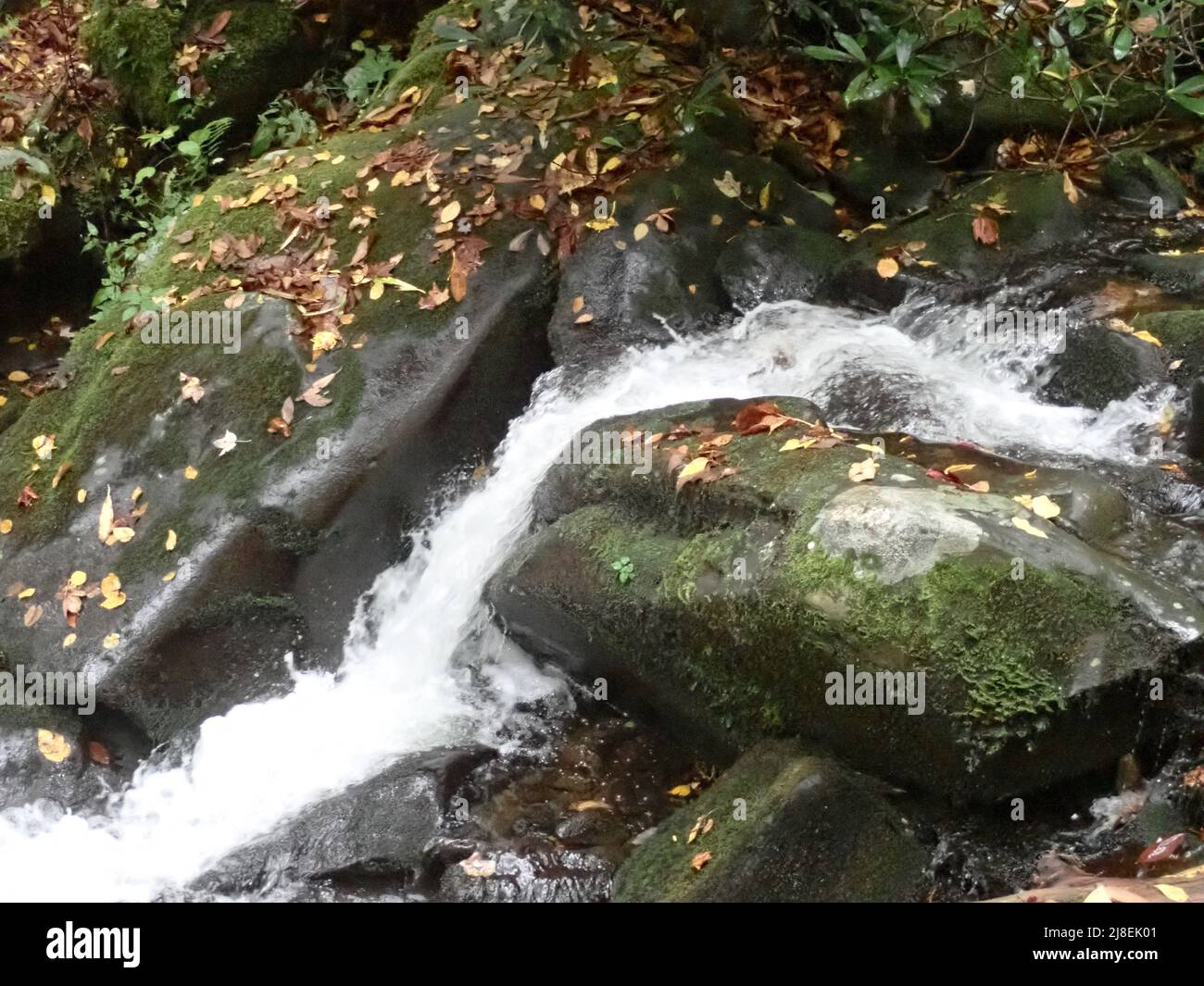 Cascades in the North Georgia USA Mountains Stock Photo - Alamy