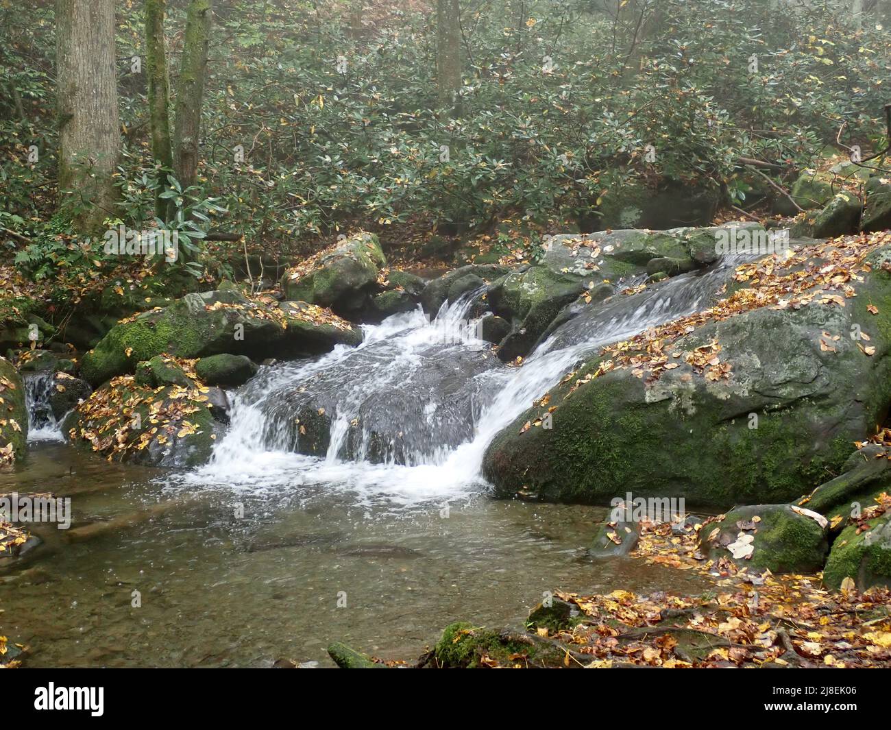 Cascades in north georgia hi-res stock photography and images - Alamy